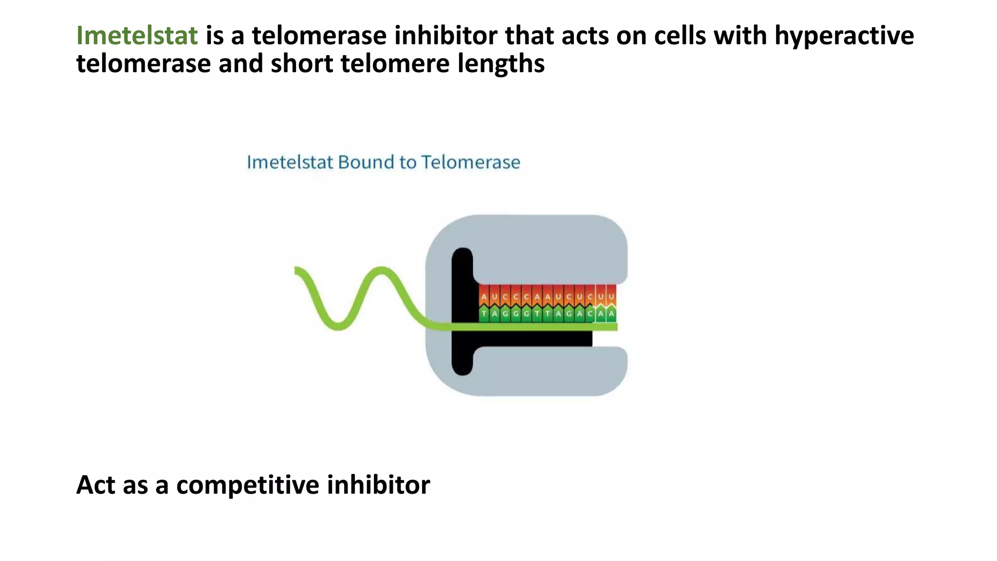 telomerase and function.pptx