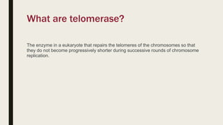 Telomerase | PPT