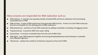 Telomerase | PPTX