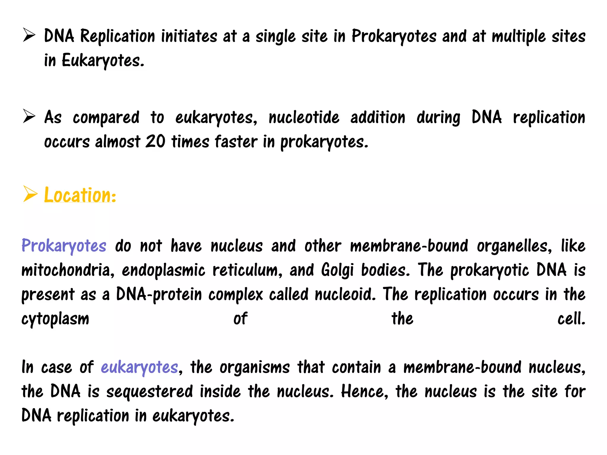 Telomerase replication | PDF