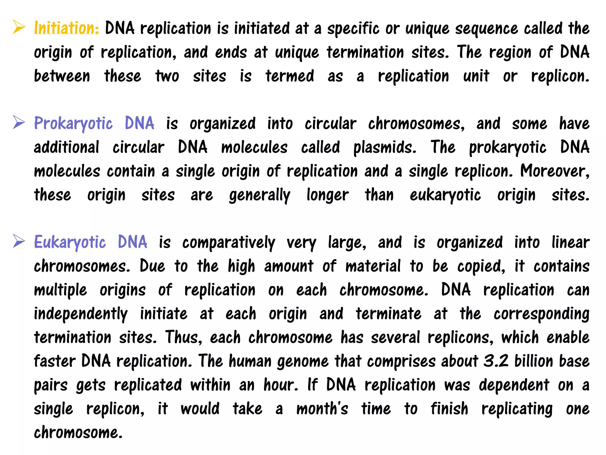 Telomerase replication | PDF