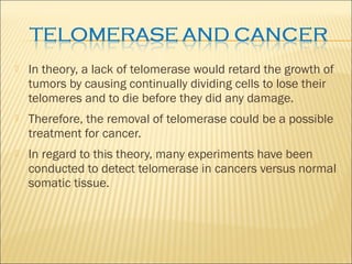 Telomerase its role in aging and cancer | PPT