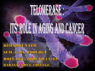 Telomeres And Cancer