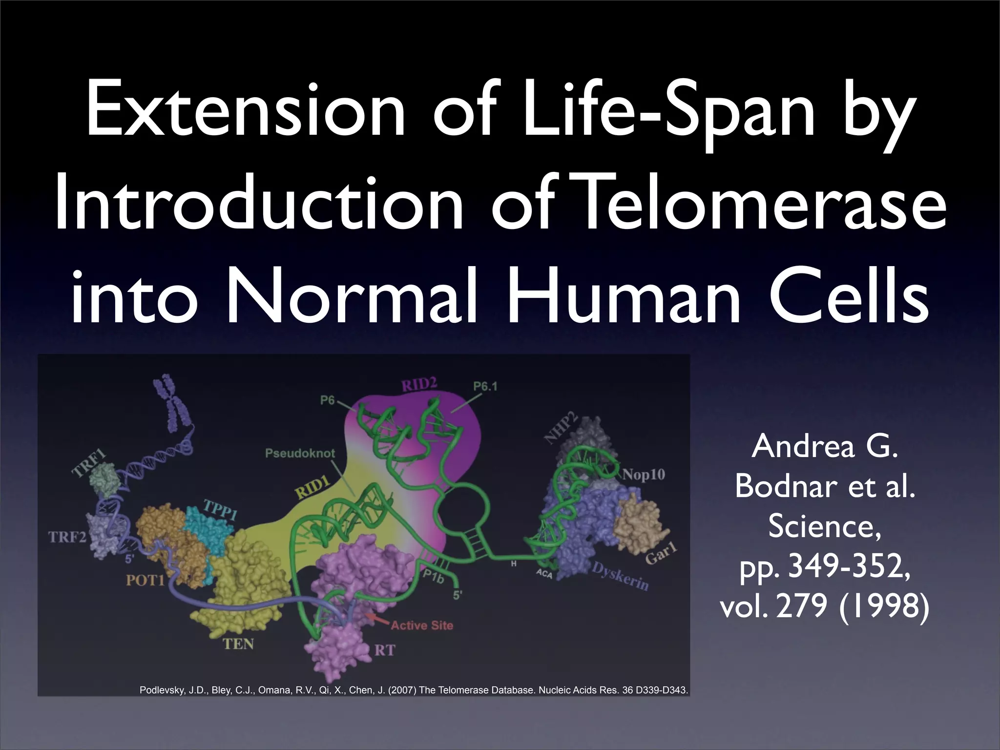 Extension of Life-Span by Introduction of Telomerase into Normal Human ...