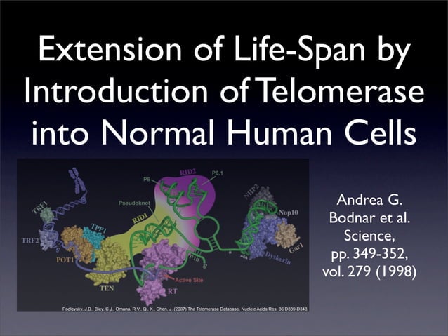 Extension of Life-Span by Introduction of Telomerase into Normal Human ...