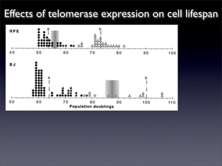 Extension of Life-Span by Introduction of Telomerase into Normal Human ...