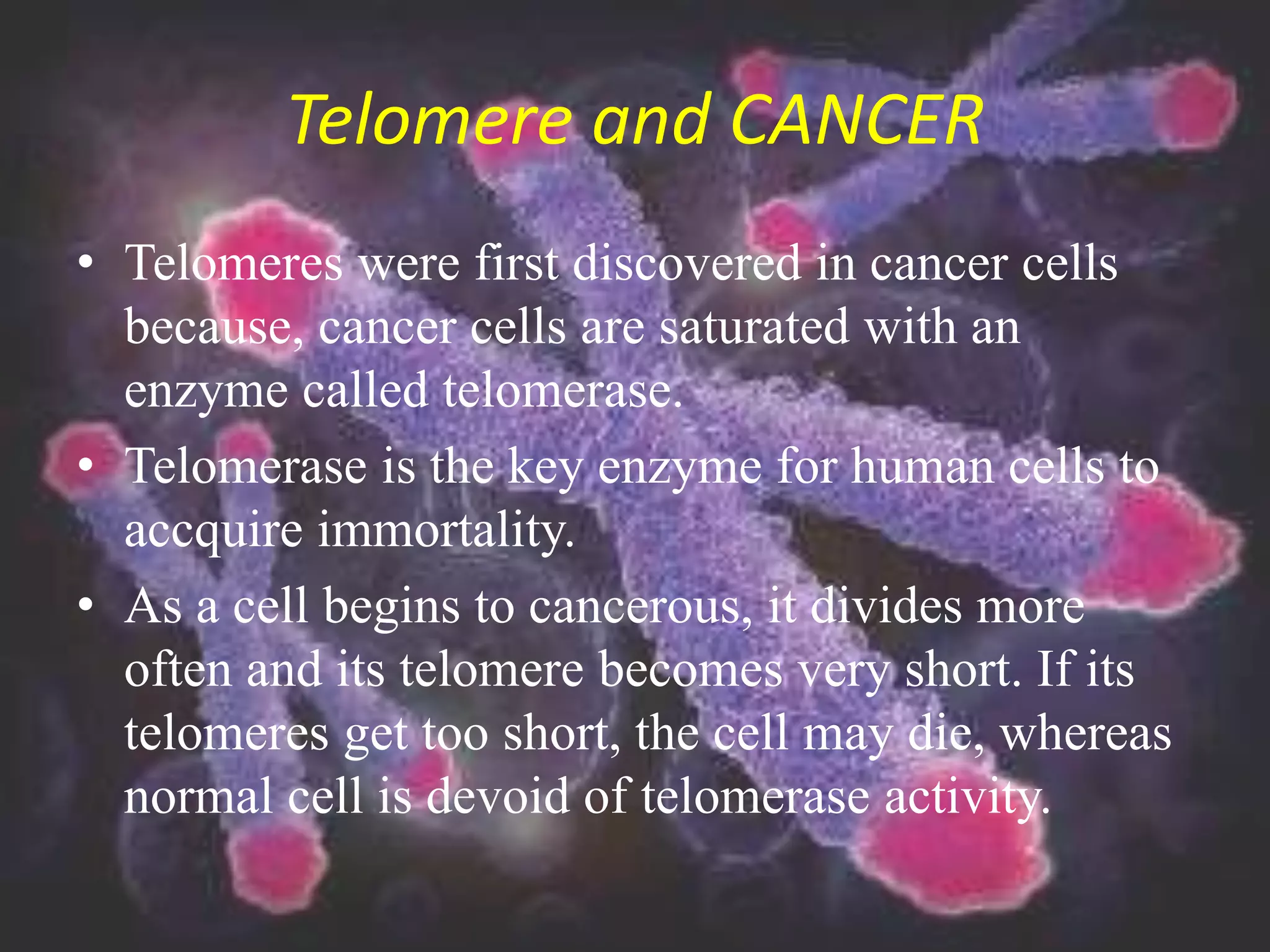 Telomere | PPTX