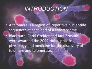 Telomere | PPTX