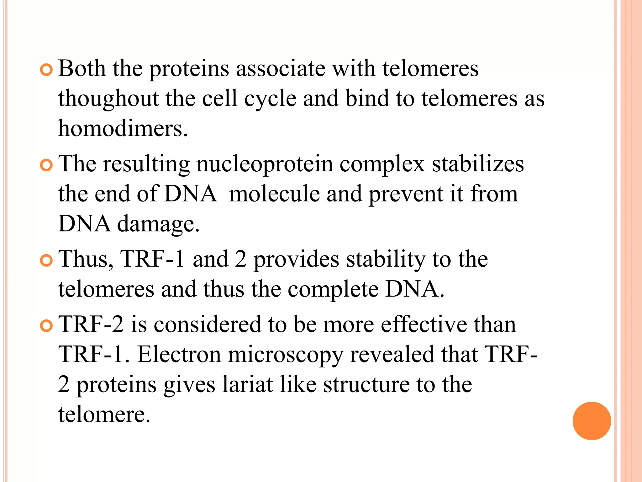 Telomere | PPTX