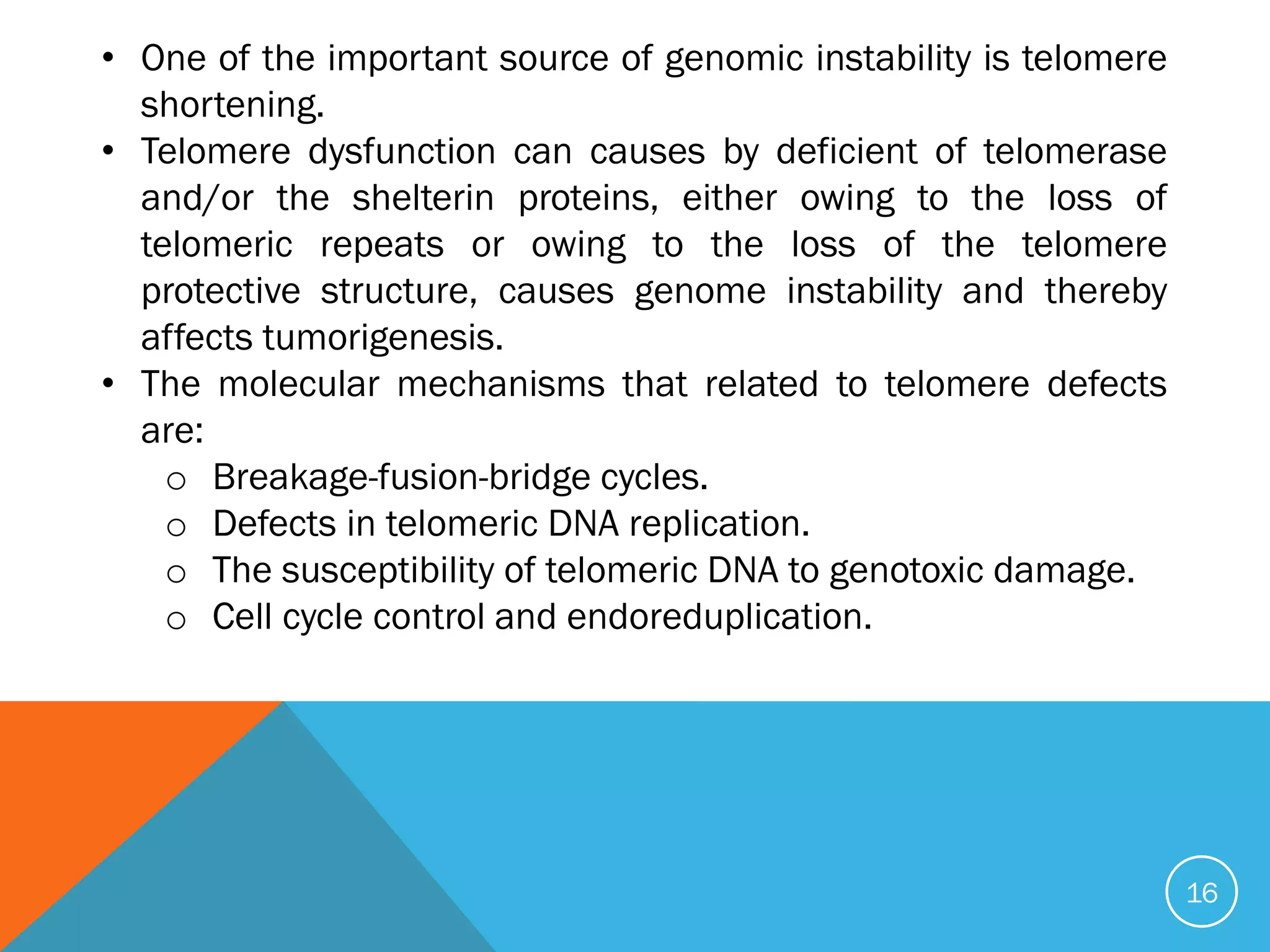 Telomere and telomerase | PDF
