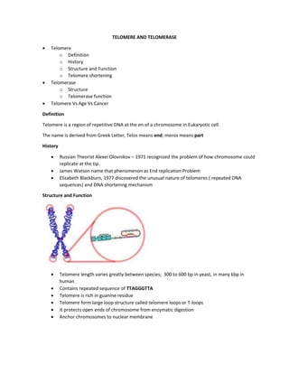 TELOMERE AND TELOMERASE.pdf