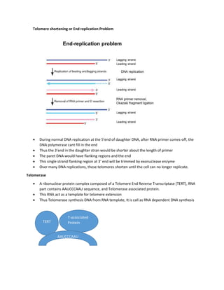 TELOMERE AND TELOMERASE.pdf