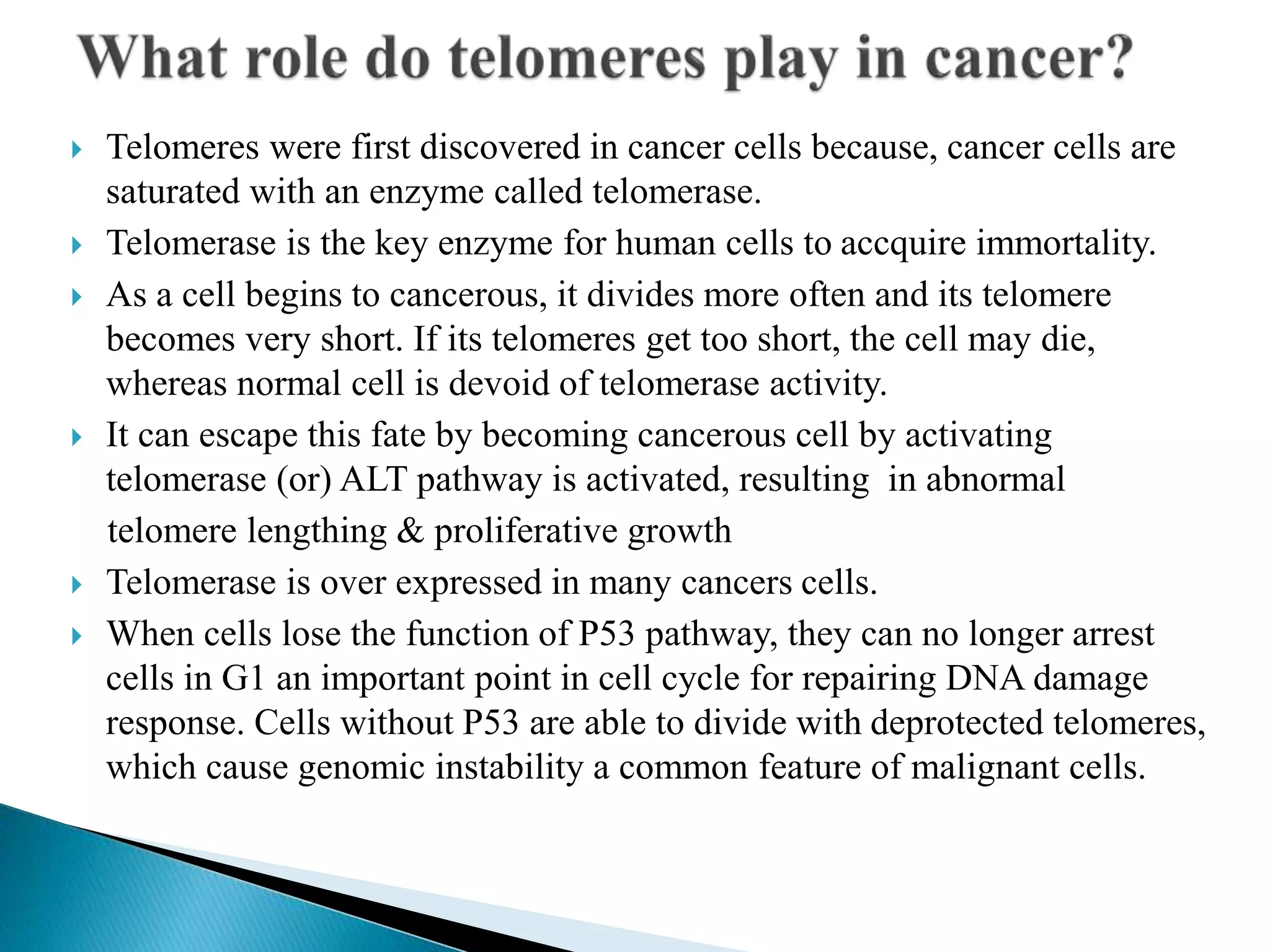 Life at the End of Chromosomes | PPTX