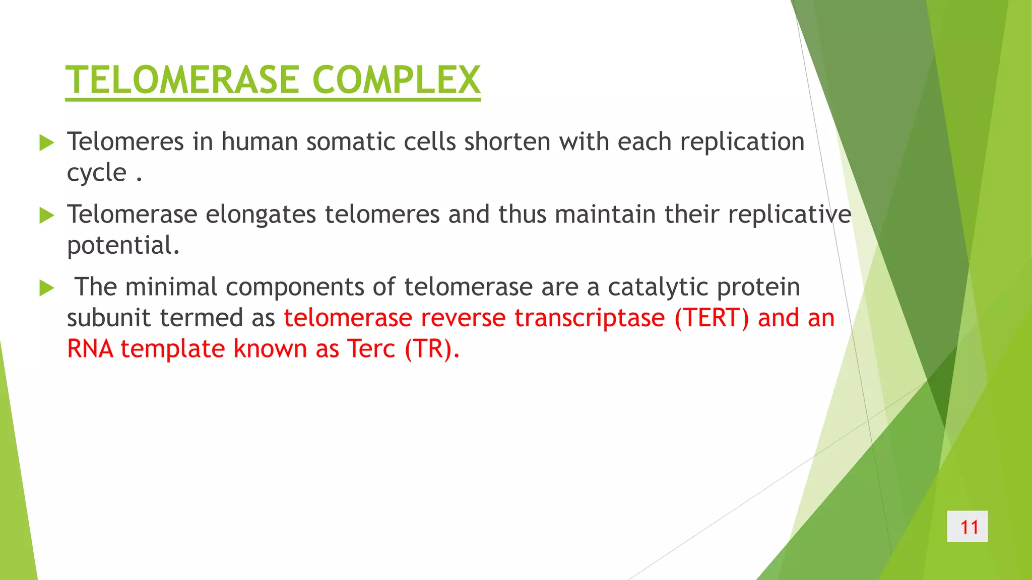 TELOMERE PROTIENS.pptx