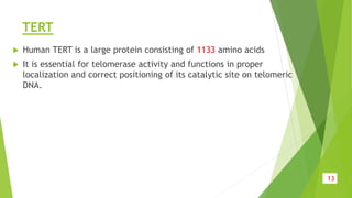 TELOMERE PROTIENS.pptx