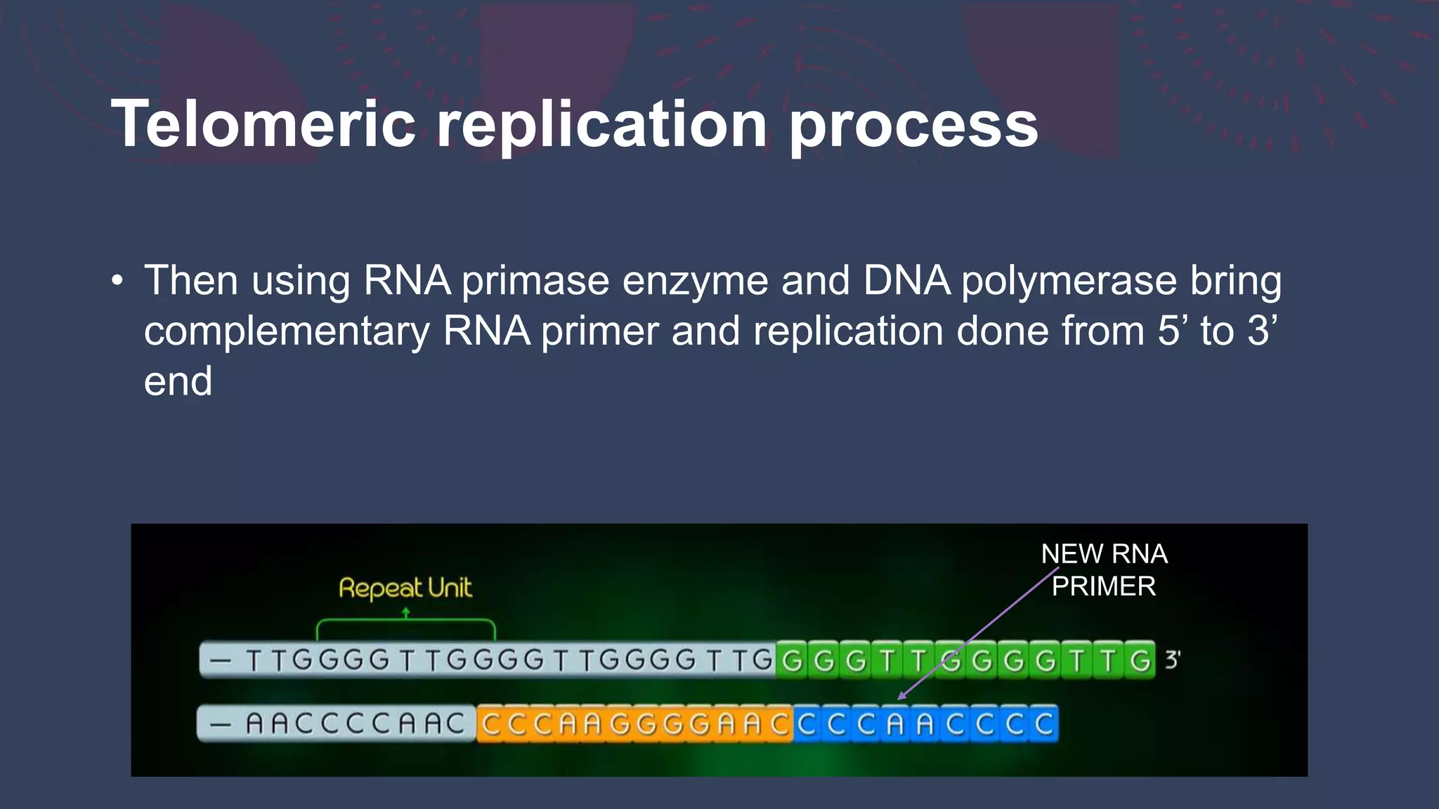 Telomere replication.pptx