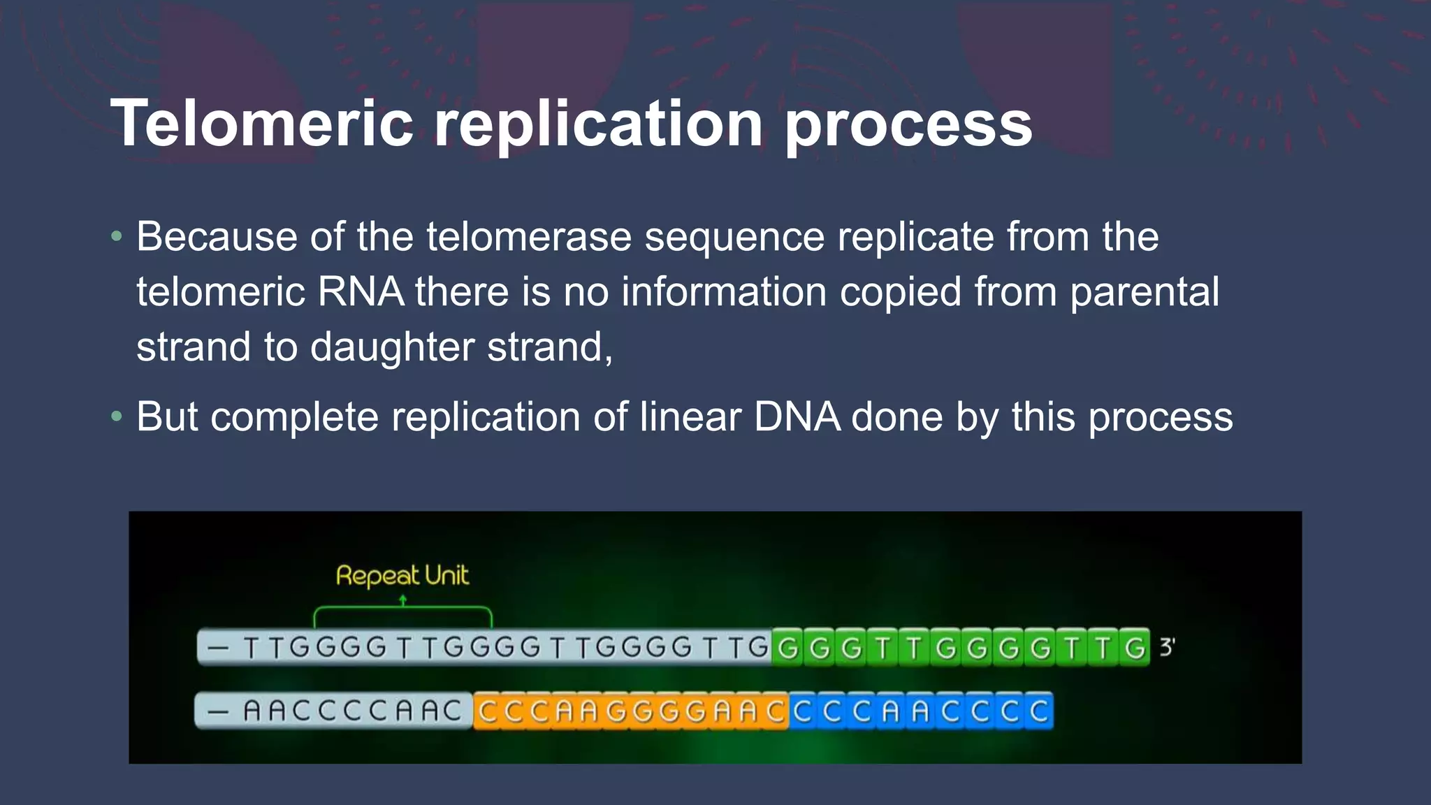 Telomere replication.pptx