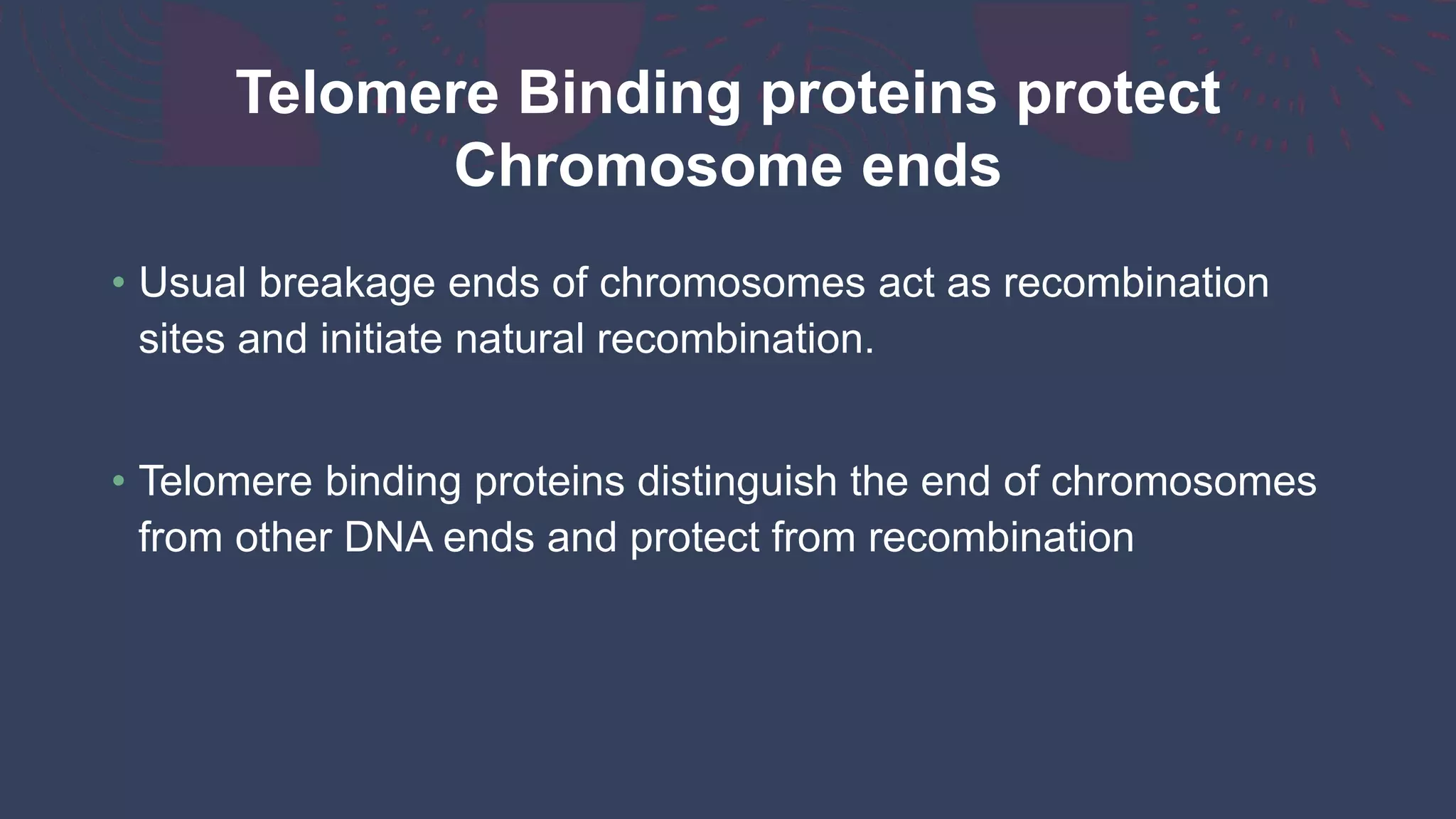 Telomere replication.pptx