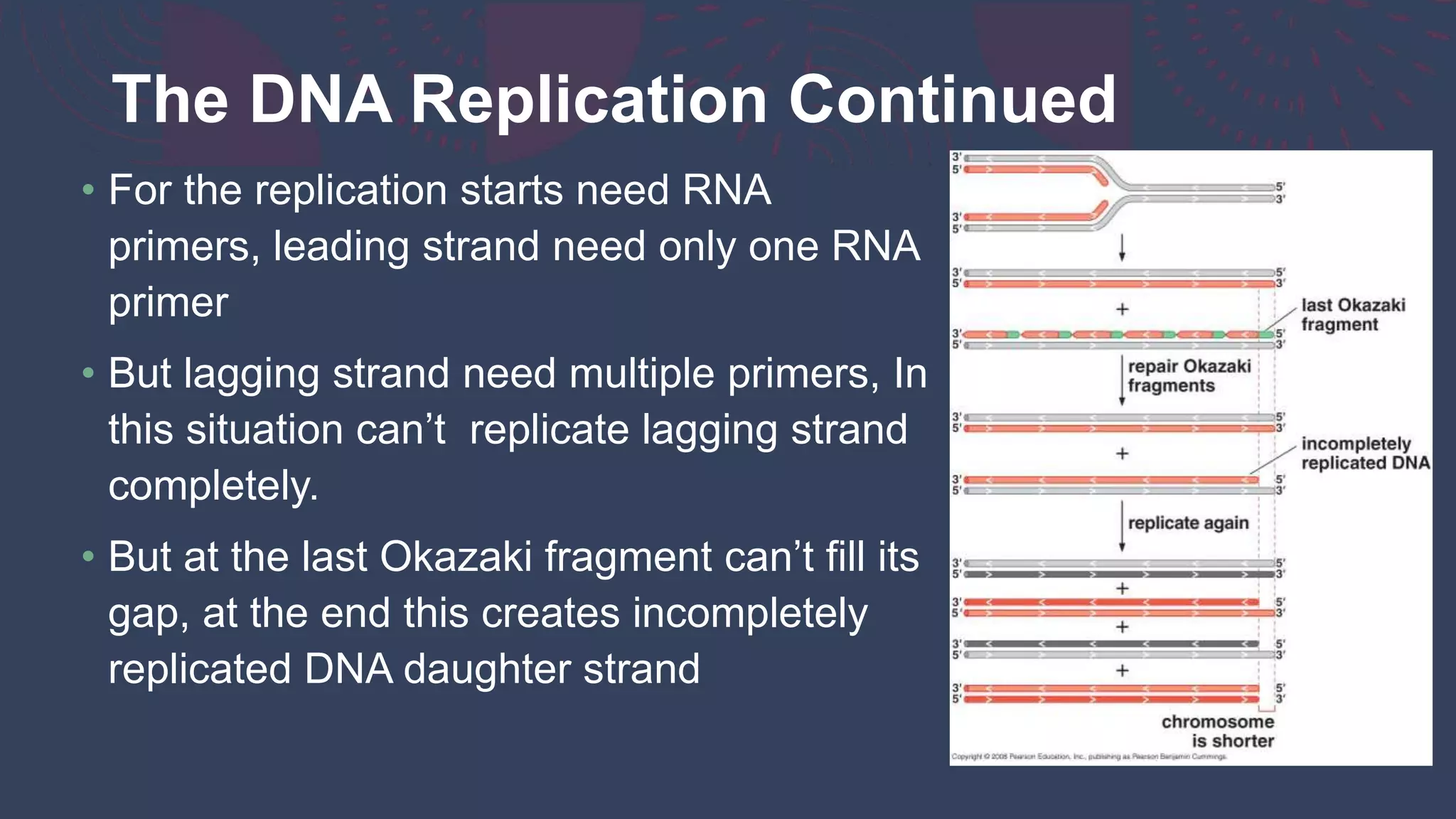 Telomere replication.pptx