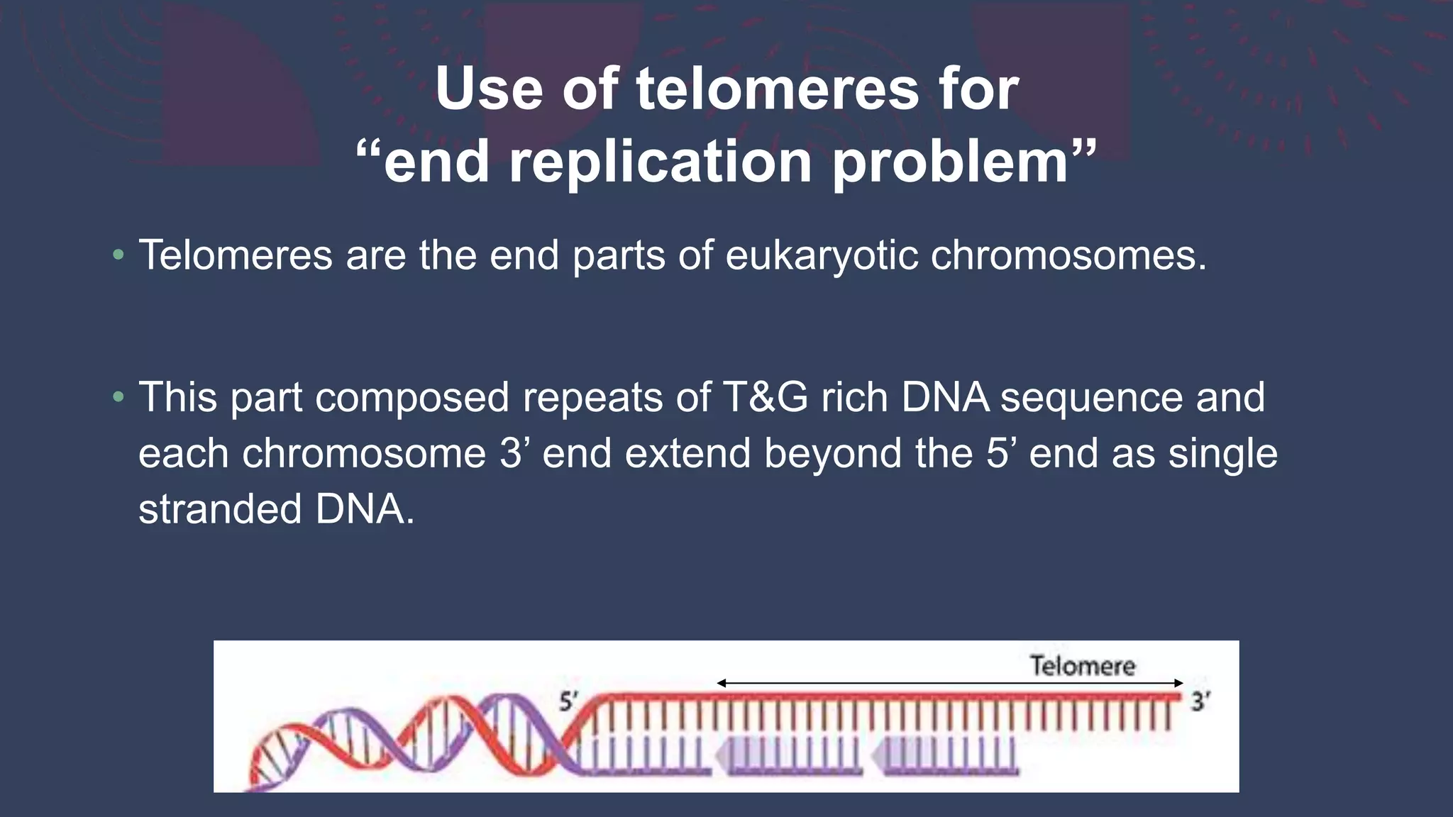 Telomere replication.pptx