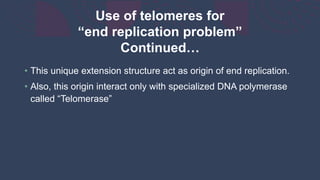Telomere replication.pptx