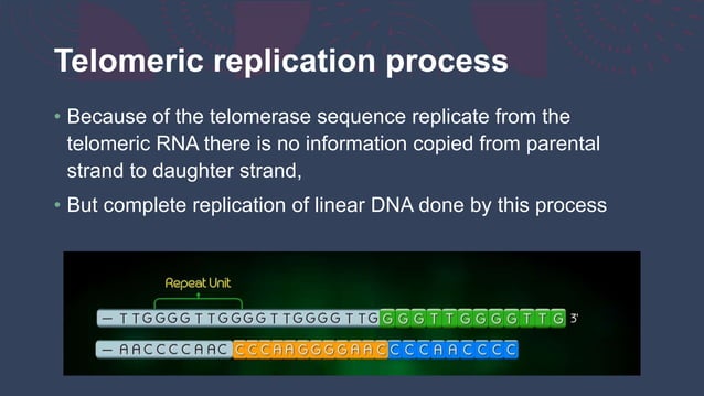 Telomere replication.pptx