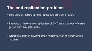 Telomere replication.pptx