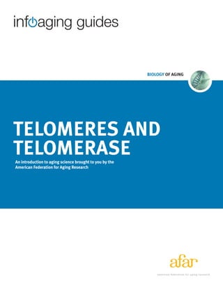 Telomeres | PDF