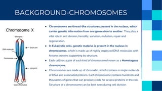 Telomeres and Telomerase | PPTX
