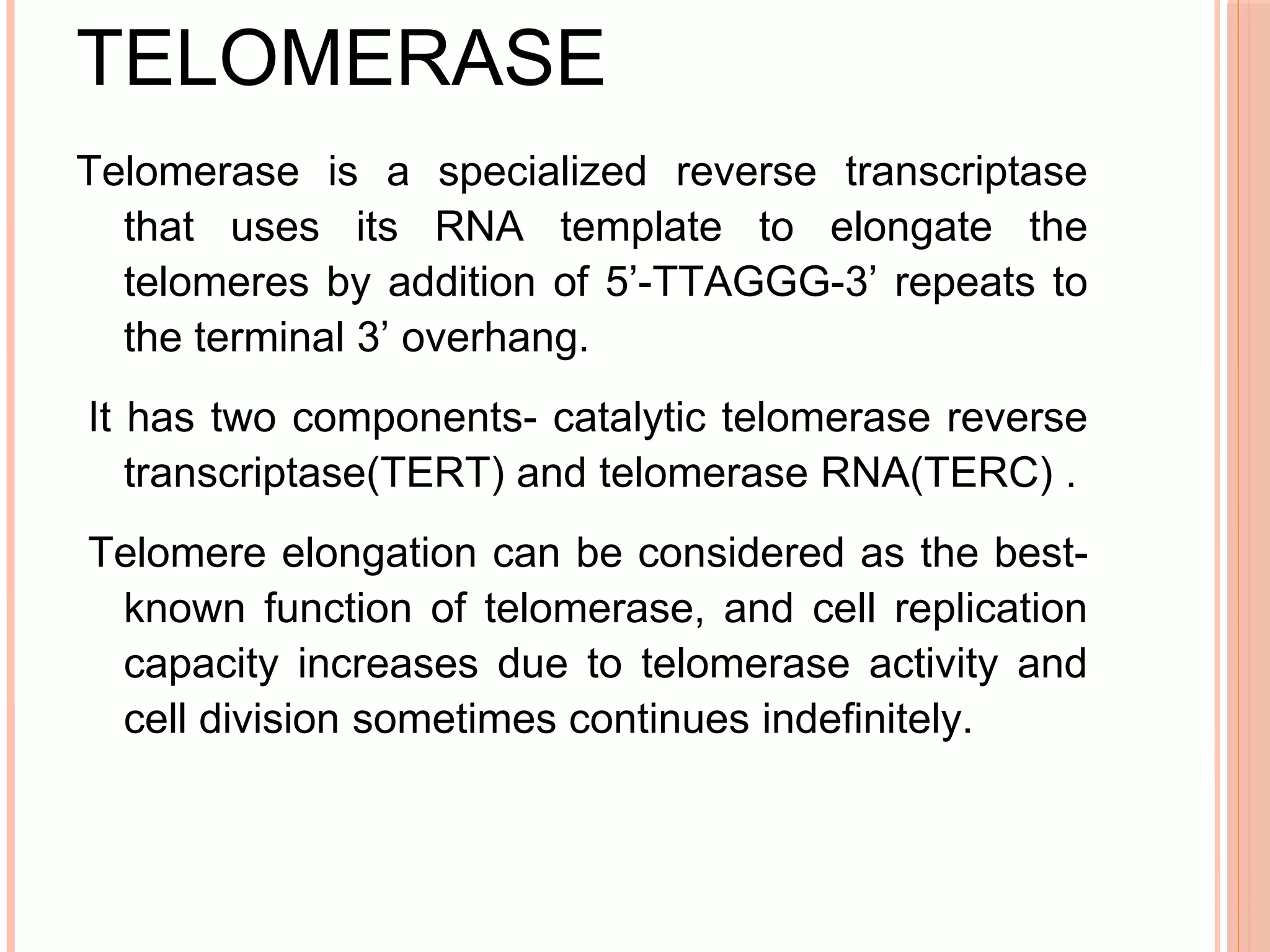 Telomeres kiran br | PPT