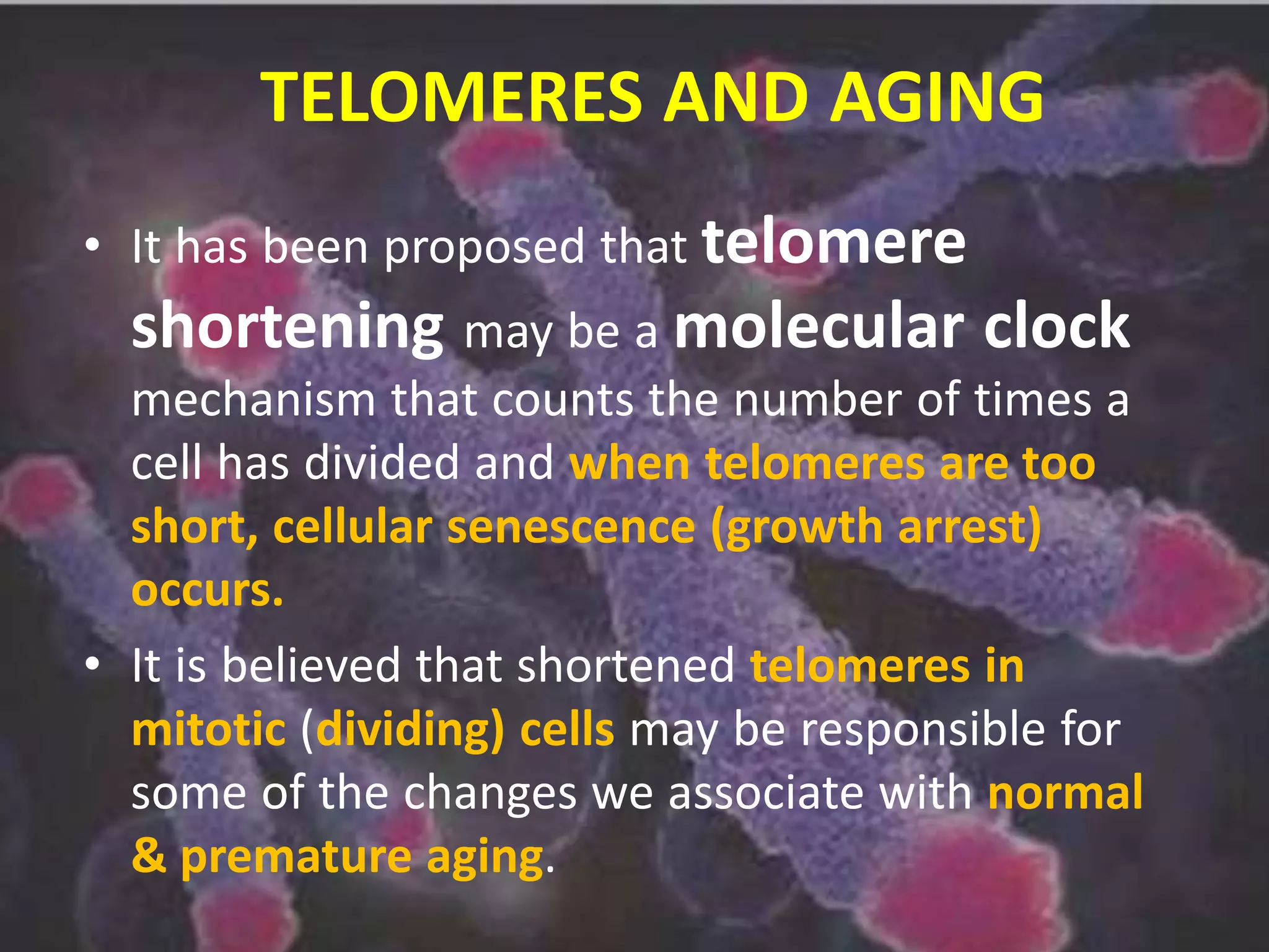 Telomeres Theory of Ageing & Healthy Life Style | PPTX
