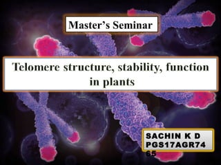 Telomere structure stability, function in plant breeding | PPT
