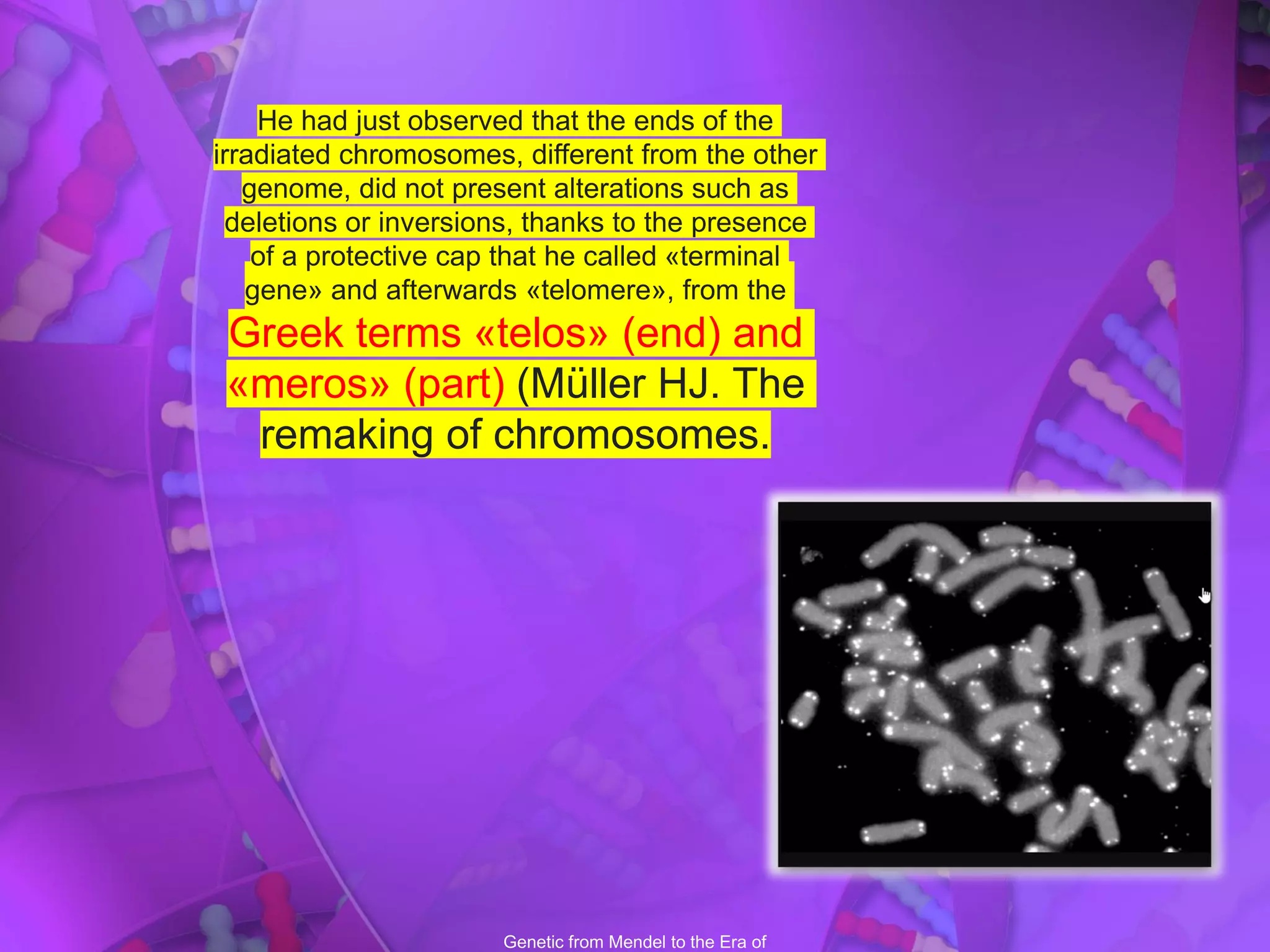 Telomere Telomerase1.pdf