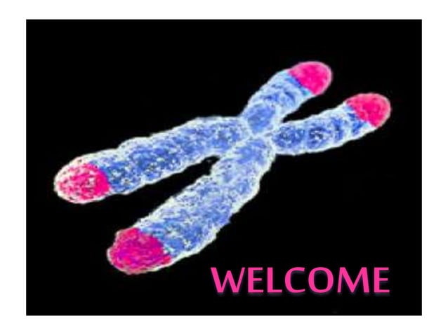 Telomere telomerase and aging | PPTX | Biological Sciences | Science