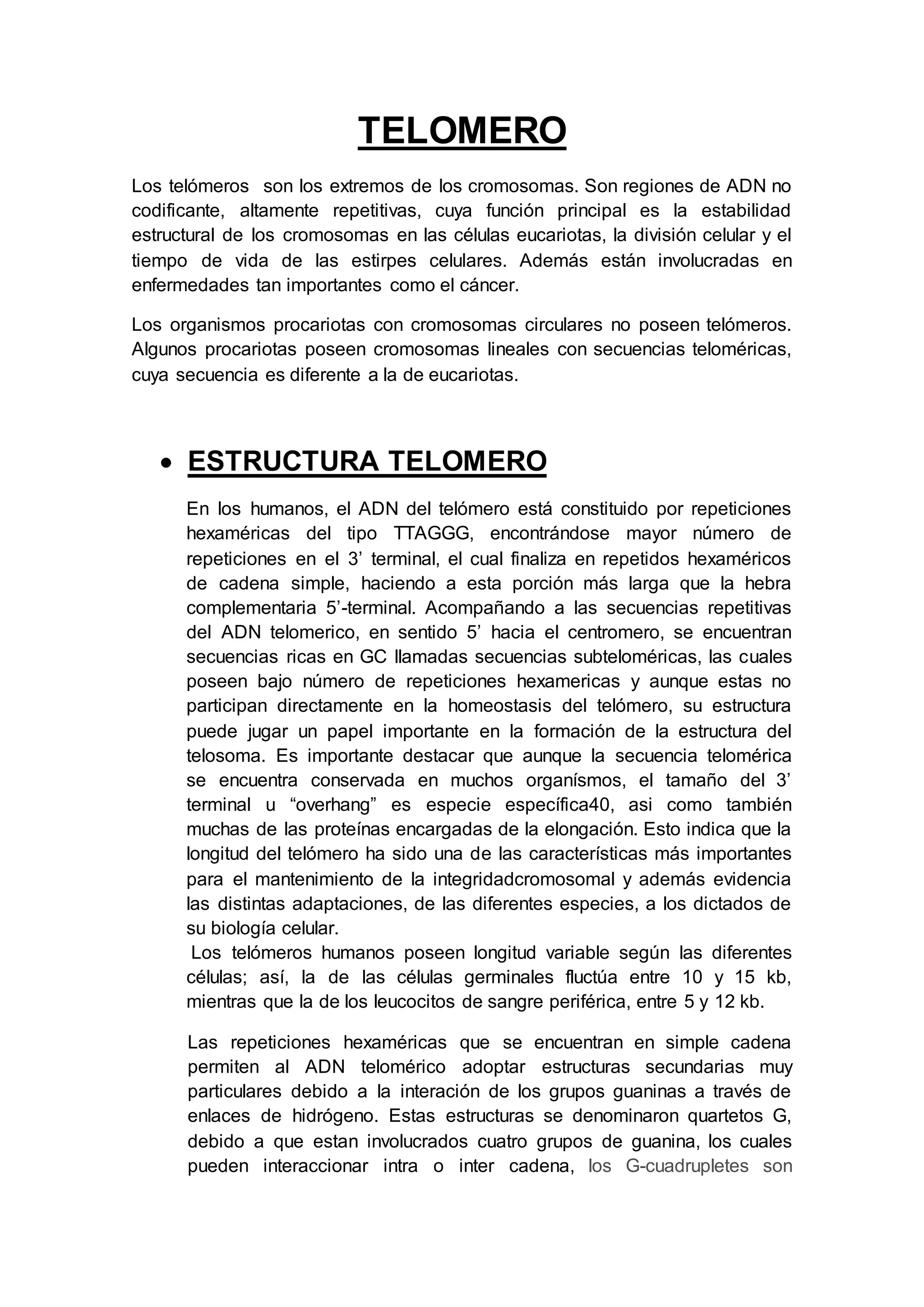 Telomero y telomerasa | DOCX