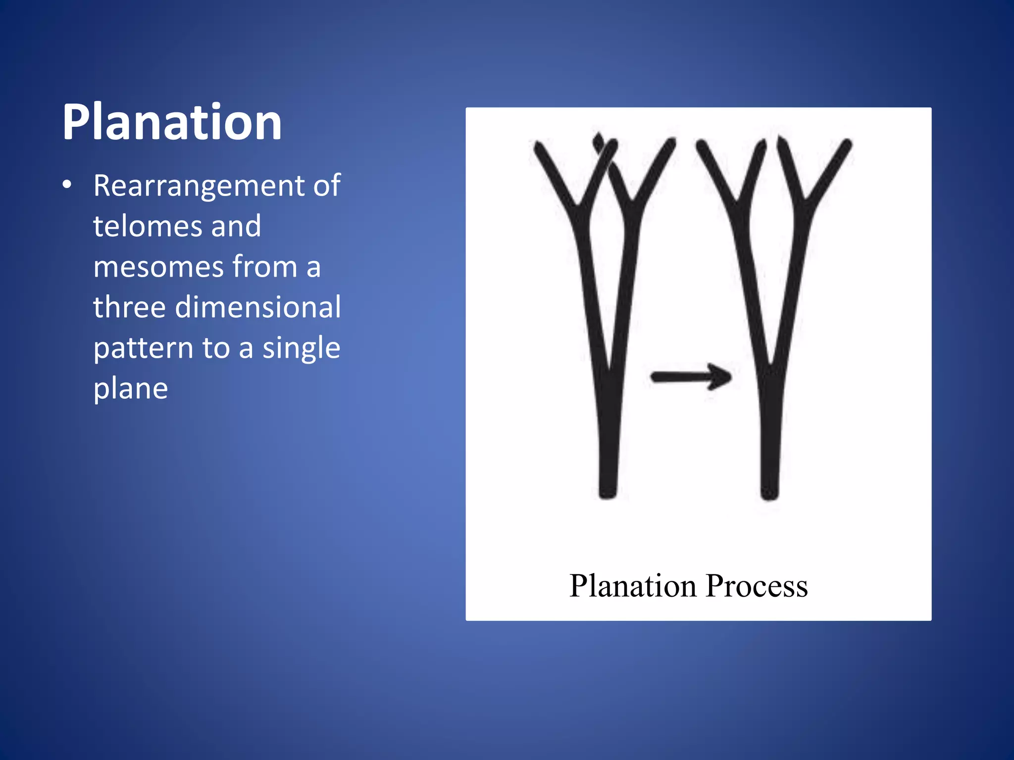 Telome Theory | PPTX