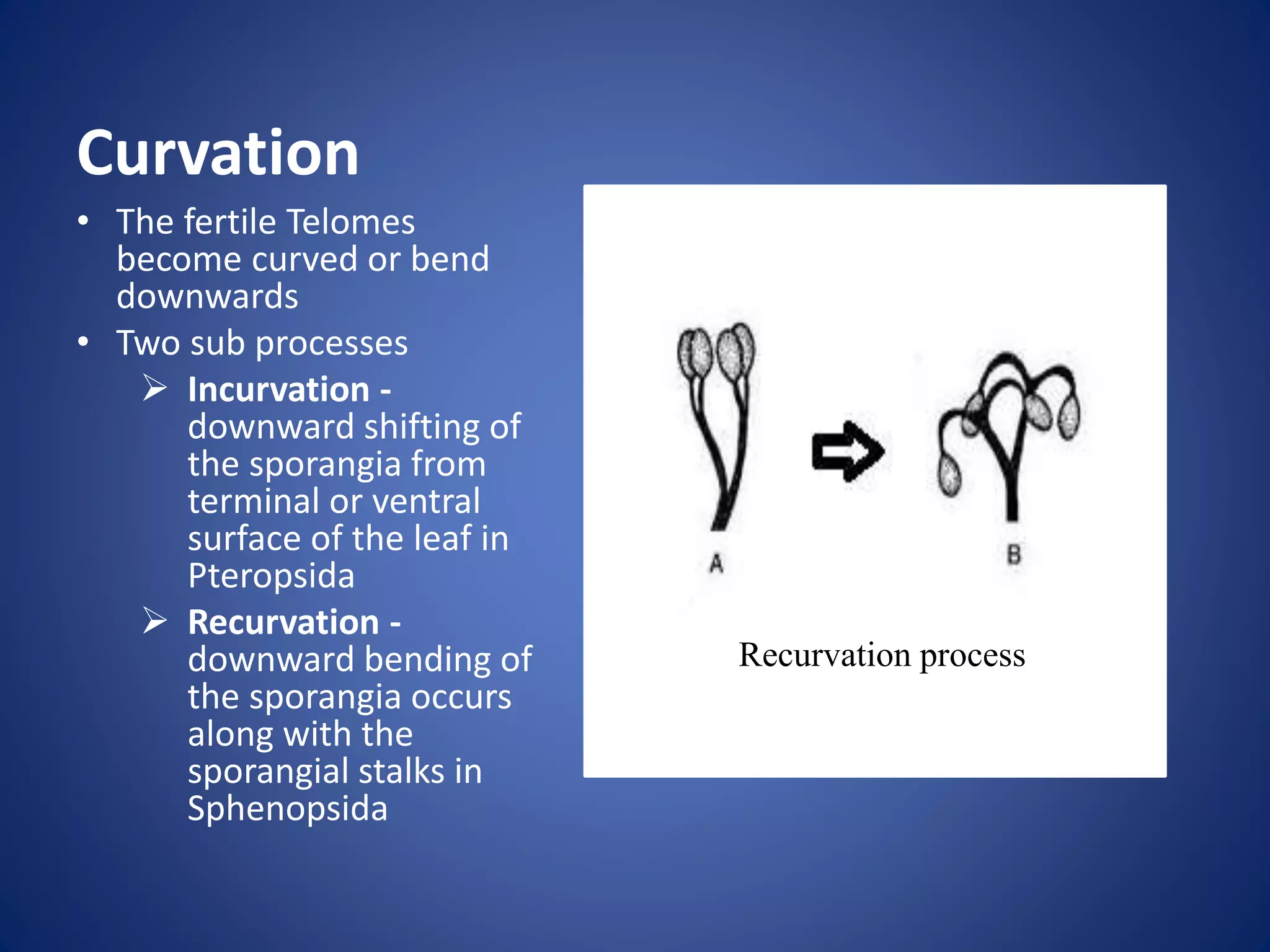 Telome Theory | PPTX