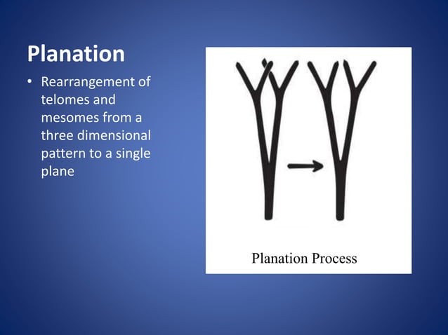 Telome Theory | PPTX