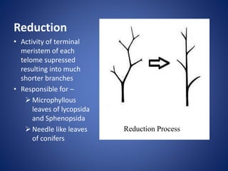 Telome Theory | PPTX