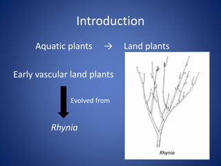 Telome Theory | PPTX