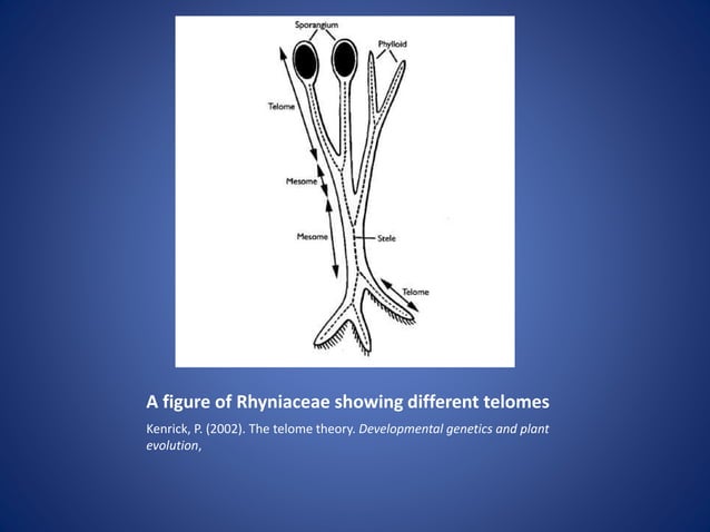 Telome Theory | PPTX