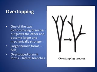 Telome Theory | PPTX