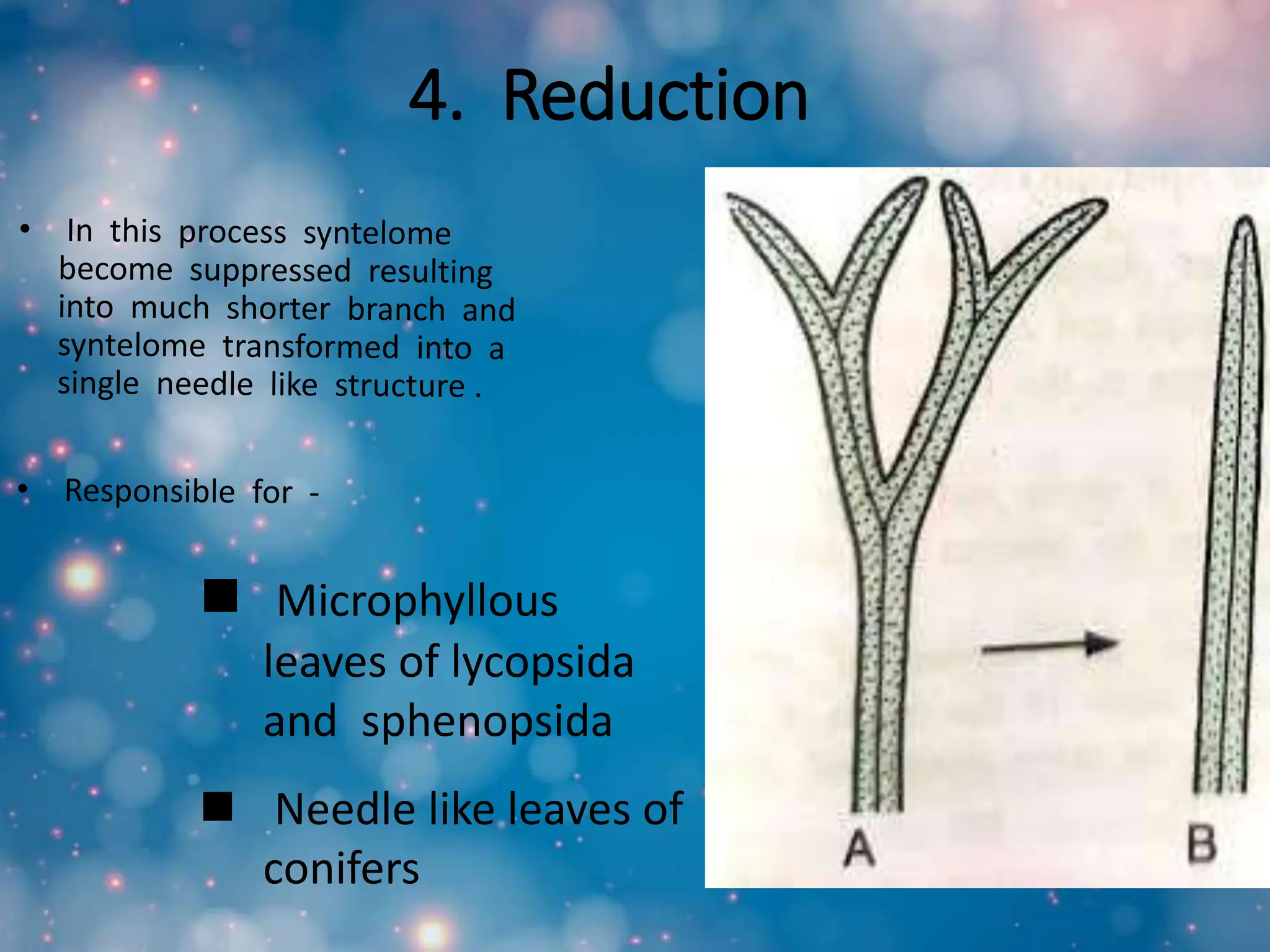 TELOME THEORY.PPT.pptx