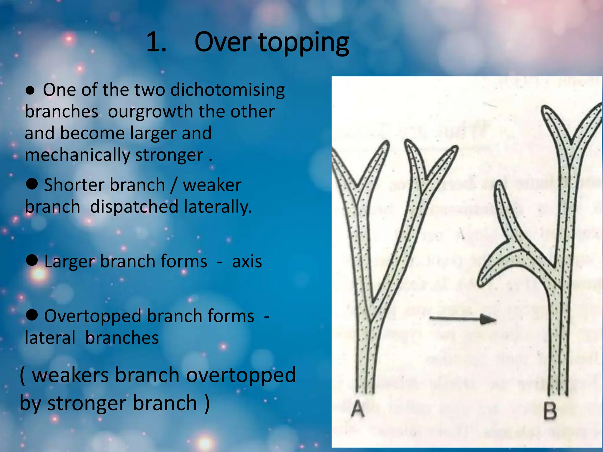 TELOME THEORY.PPT.pptx