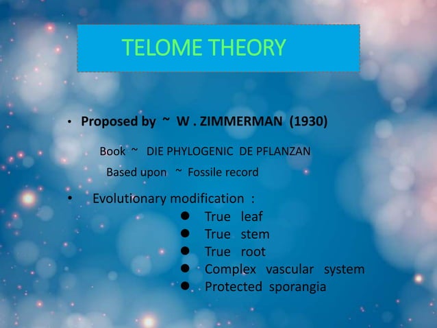 TELOME THEORY.PPT.pptx | Biological Sciences | Science