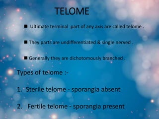 TELOME THEORY.PPT.pptx