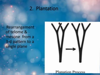 TELOME THEORY.PPT.pptx
