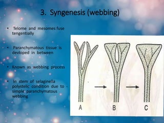 TELOME THEORY.PPT.pptx