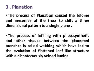 Telome theroy | PPTX