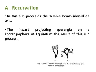 Telome theroy | PPTX